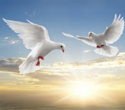 Funeral Plans | Sonephi Group And Solution